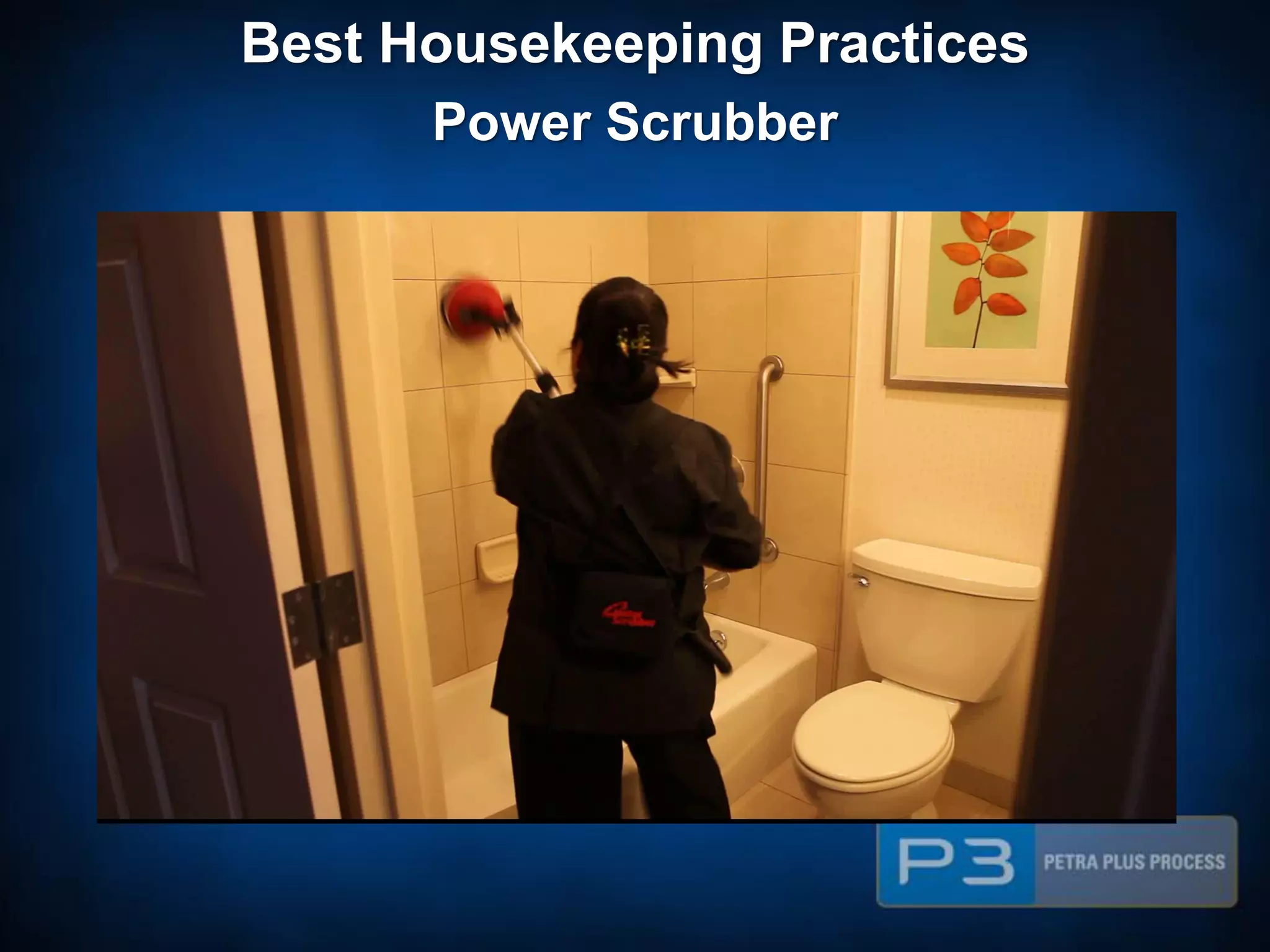 Best housekeeping practices | PDF