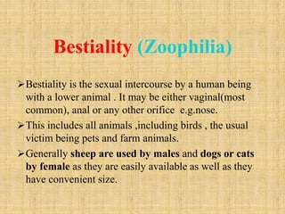 Bestiality final | PPT
