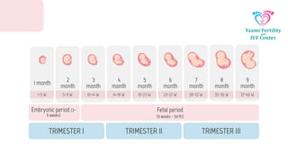 Yaami Fertility and IVF Center Indore | PPT