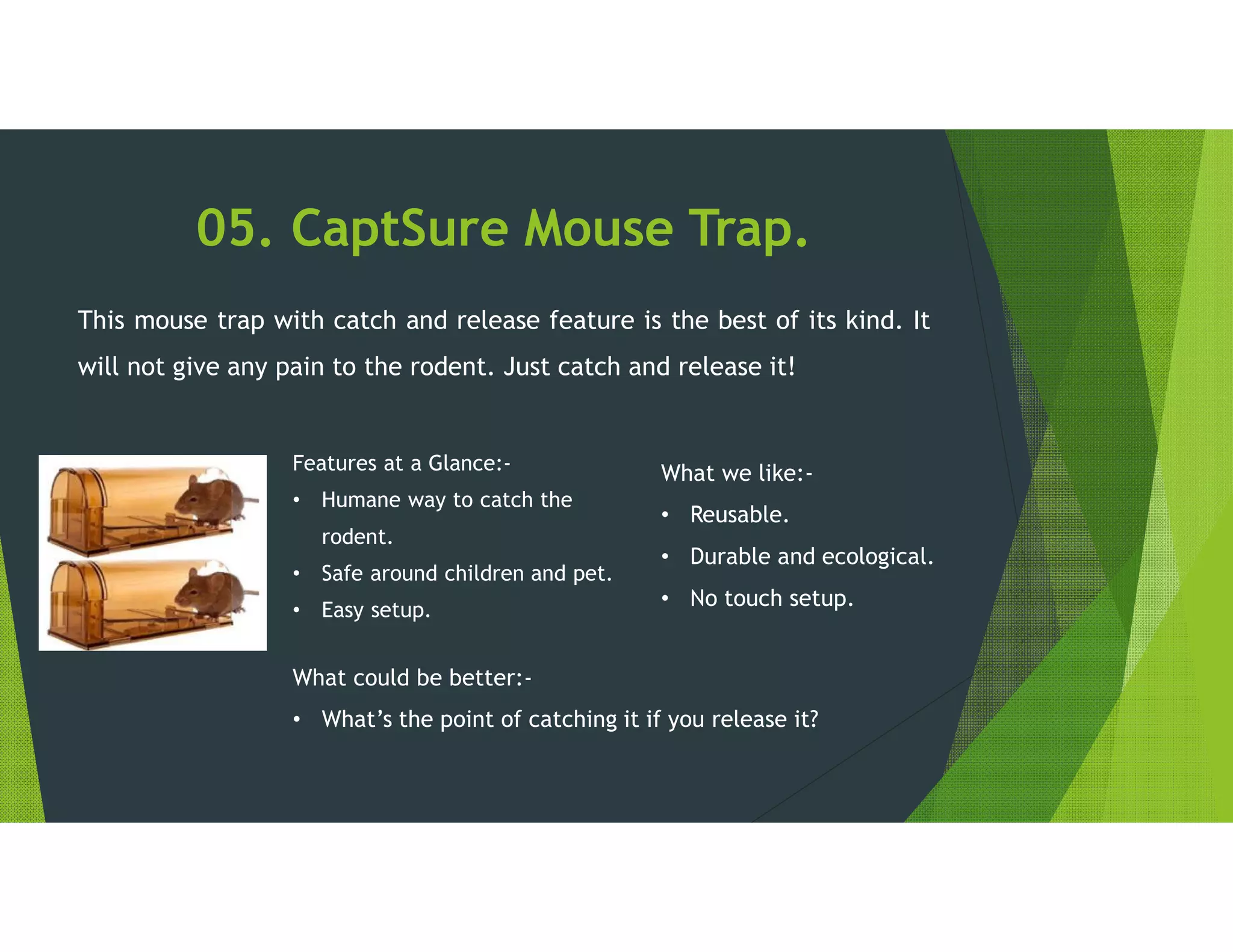 Best mouse traps | PDF