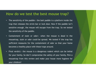 Best mouse traps | PDF