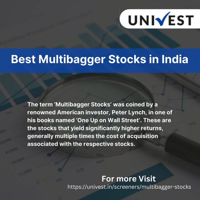 Best Multibagger Stocks in India - Univest | PDF