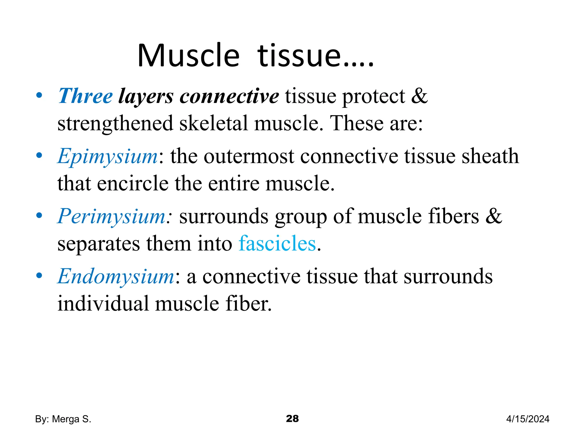 best muscle tissue.pptxghfght5fvyytht6gyg | PPT