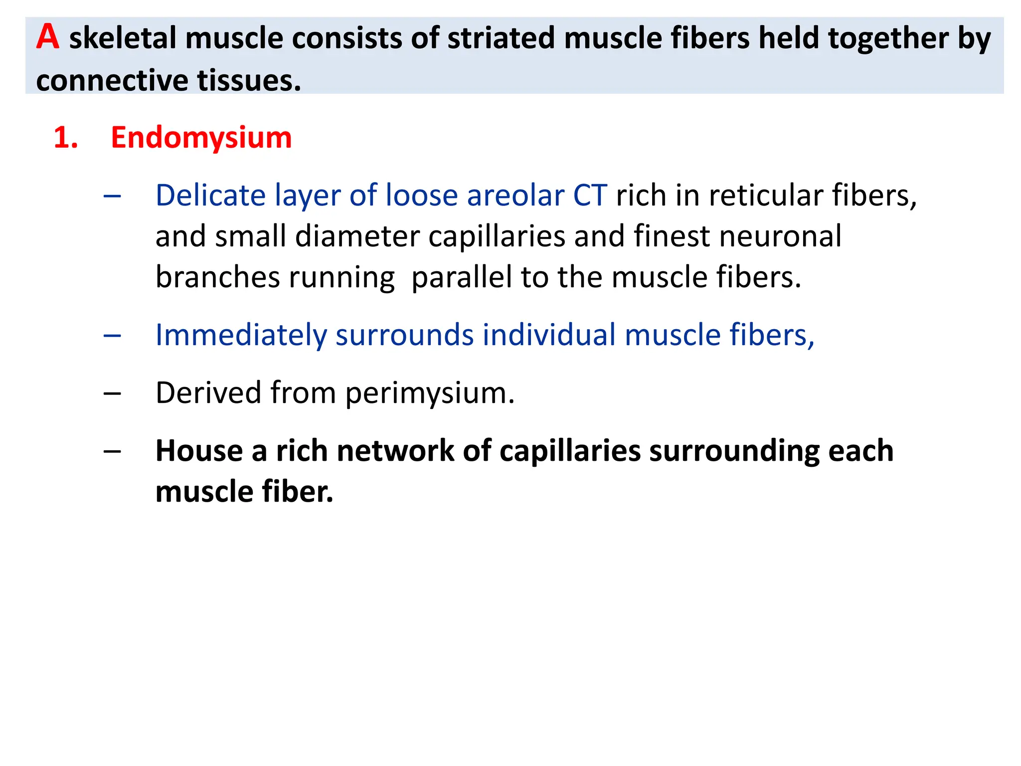best muscle tissue.pptxghfght5fvyytht6gyg | PPT