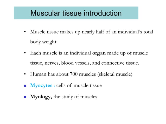 best muscle tissue.pptxghfght5fvyytht6gyg | PPT