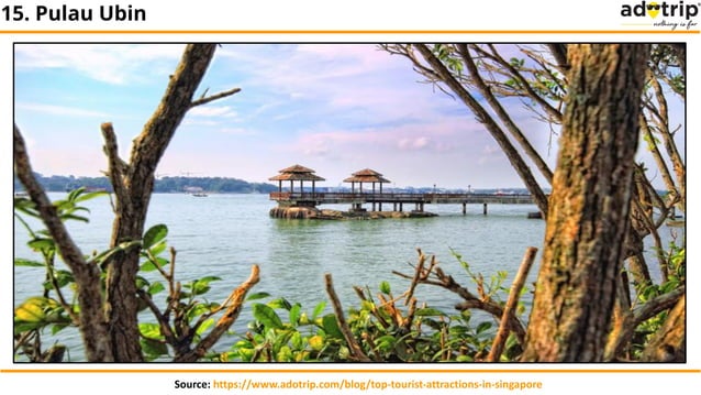 Best Offbeat Tourist Attractions in Singapore PDF | PDF