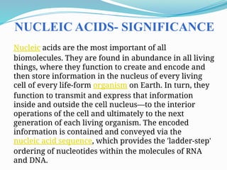 Comprehensive Overview of Nucleic Acids: Structure, Function, and ...
