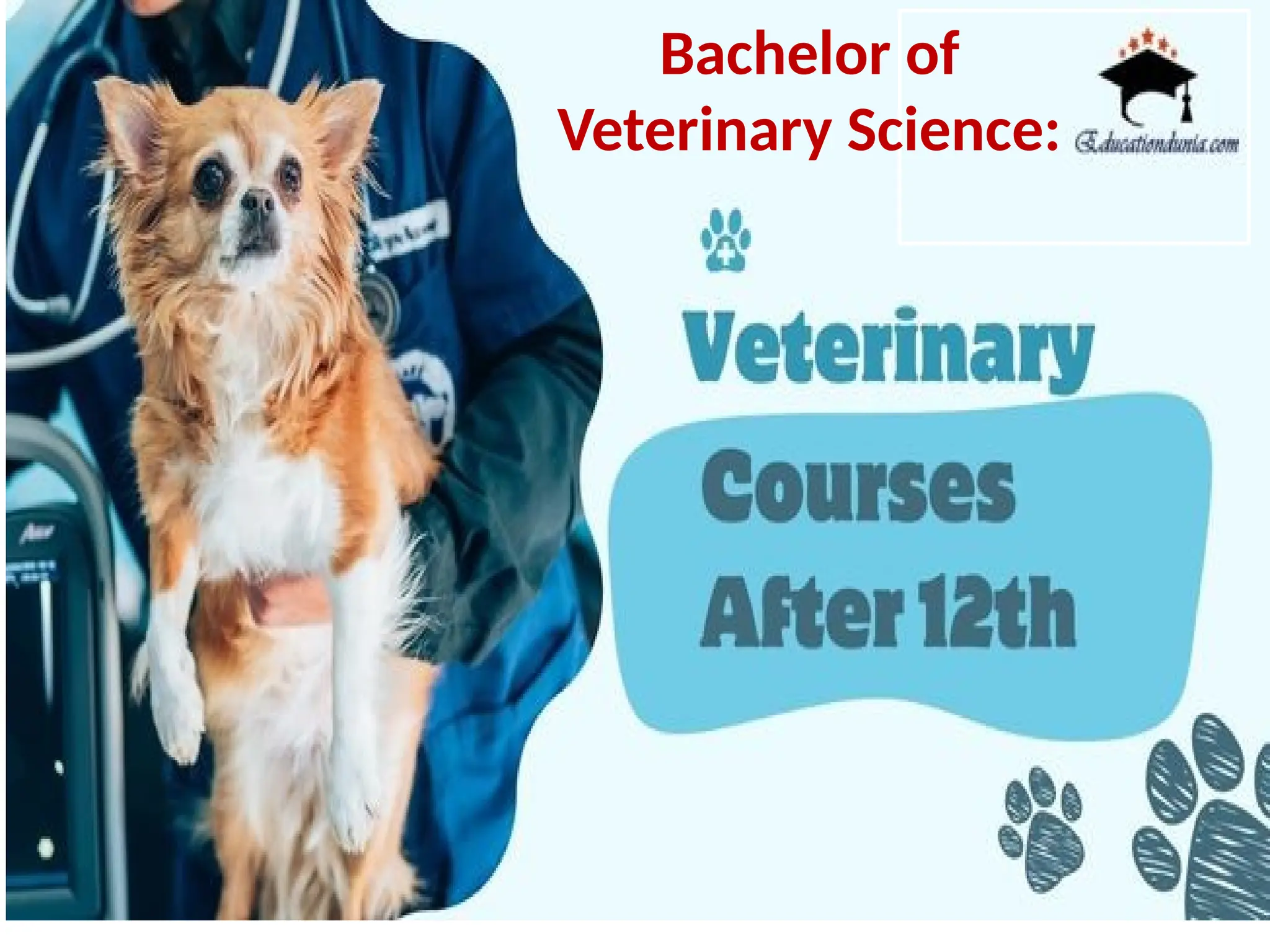 Best PCMB Career Options: After 12TH Science. | PPT