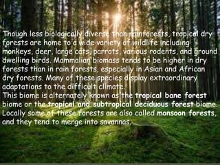 FOREST | PPTX