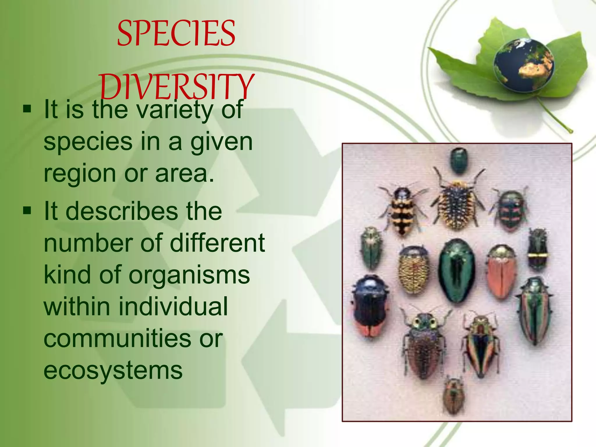 Best ppt on biodiversity.ppt