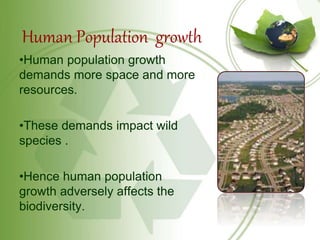 Best ppt on biodiversity.ppt