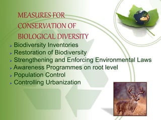 Best ppt on biodiversity.ppt
