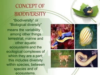 Best ppt on biodiversity.ppt