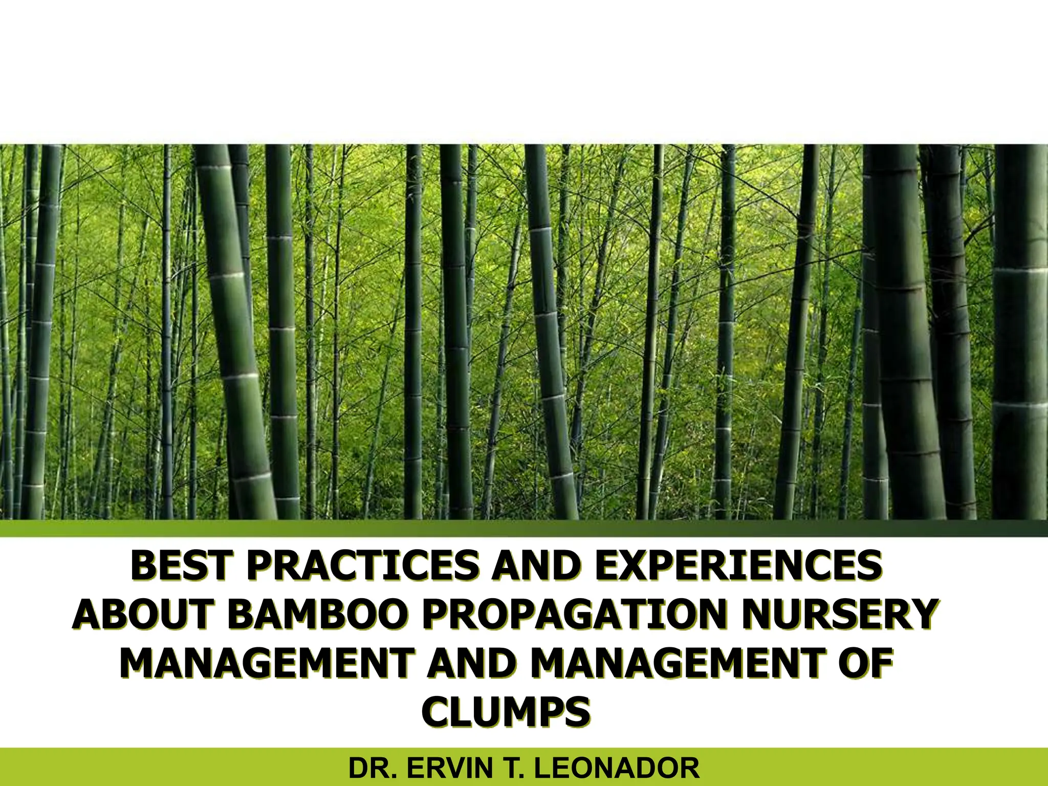 BEST PRACTICES AND EXPERIENCES ABOUT BAMBOO PROPAGATION NURSERY.pptx | Free Download