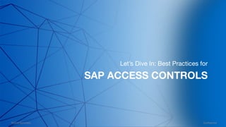 Best Practices for SAP Access Controls | Symmetry™ | PDF