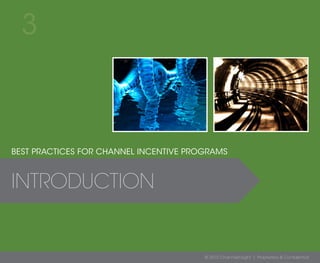 Best Practices for Channel Incentive Programs | PDF