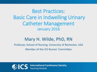 Best Practices for Indwelling Catheter Care | PPT