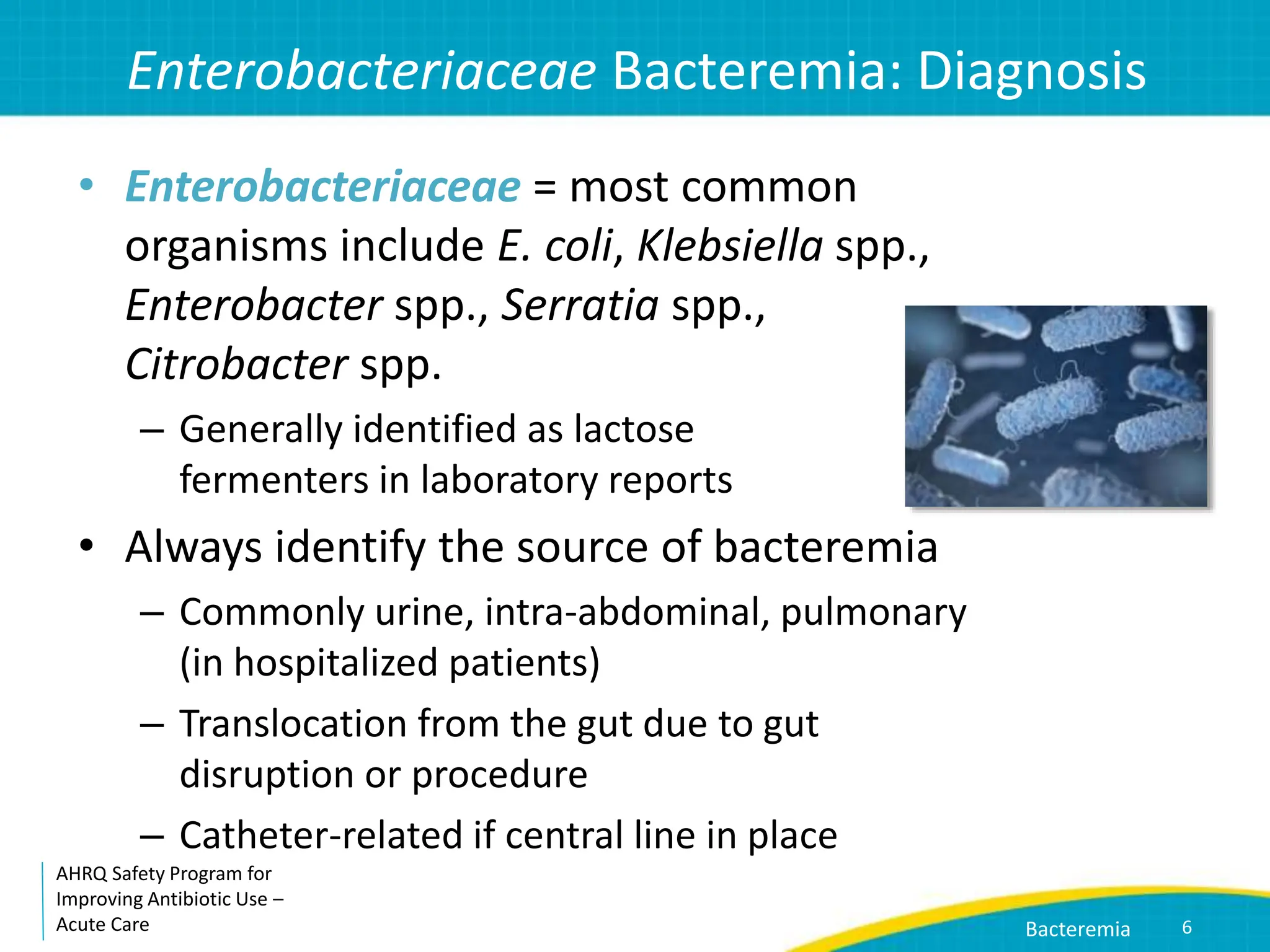Best Practices in the Diagnosis and Treatment of Bacteremia.pptx