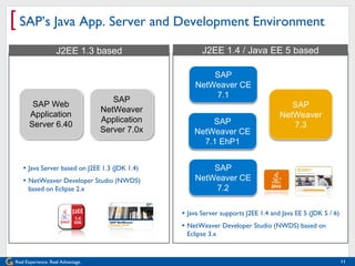 Best Practices for Upgrading Your Portal to SAP NetWeaver 7.3 | PDF