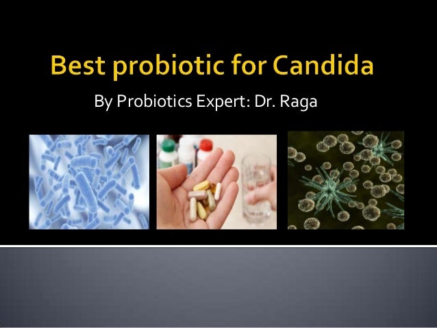 Best Probiotic For Candida