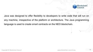 Best programming languages to build smart contracts | PPT