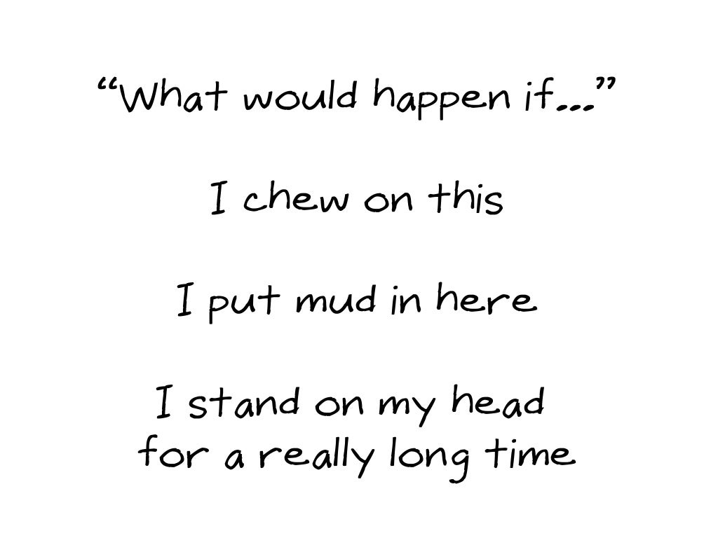 The Best Question In The World the-best-question-in-the-world