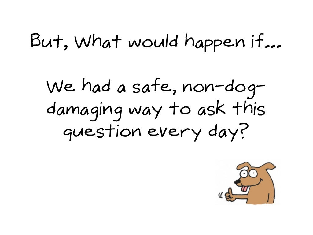 The Best Question In The World the-best-question-in-the-world