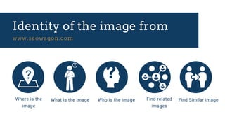 Best reverse image search online | PDF