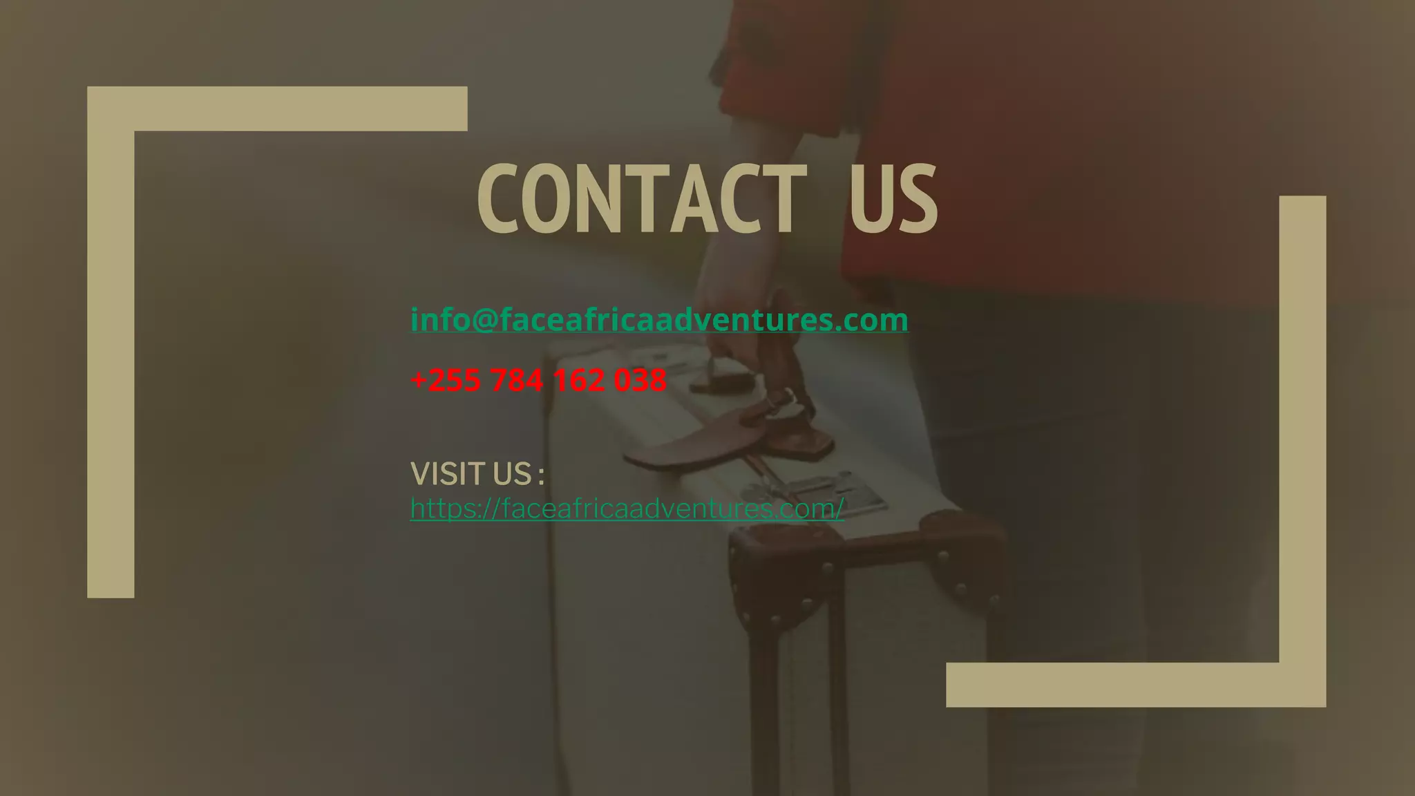 Best Time of Year to Go on a Gorilla Safari in Uganda.pptx