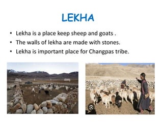 BEST TOPICS FOR COOLEST PLACES IN INDIA .pptx | Science