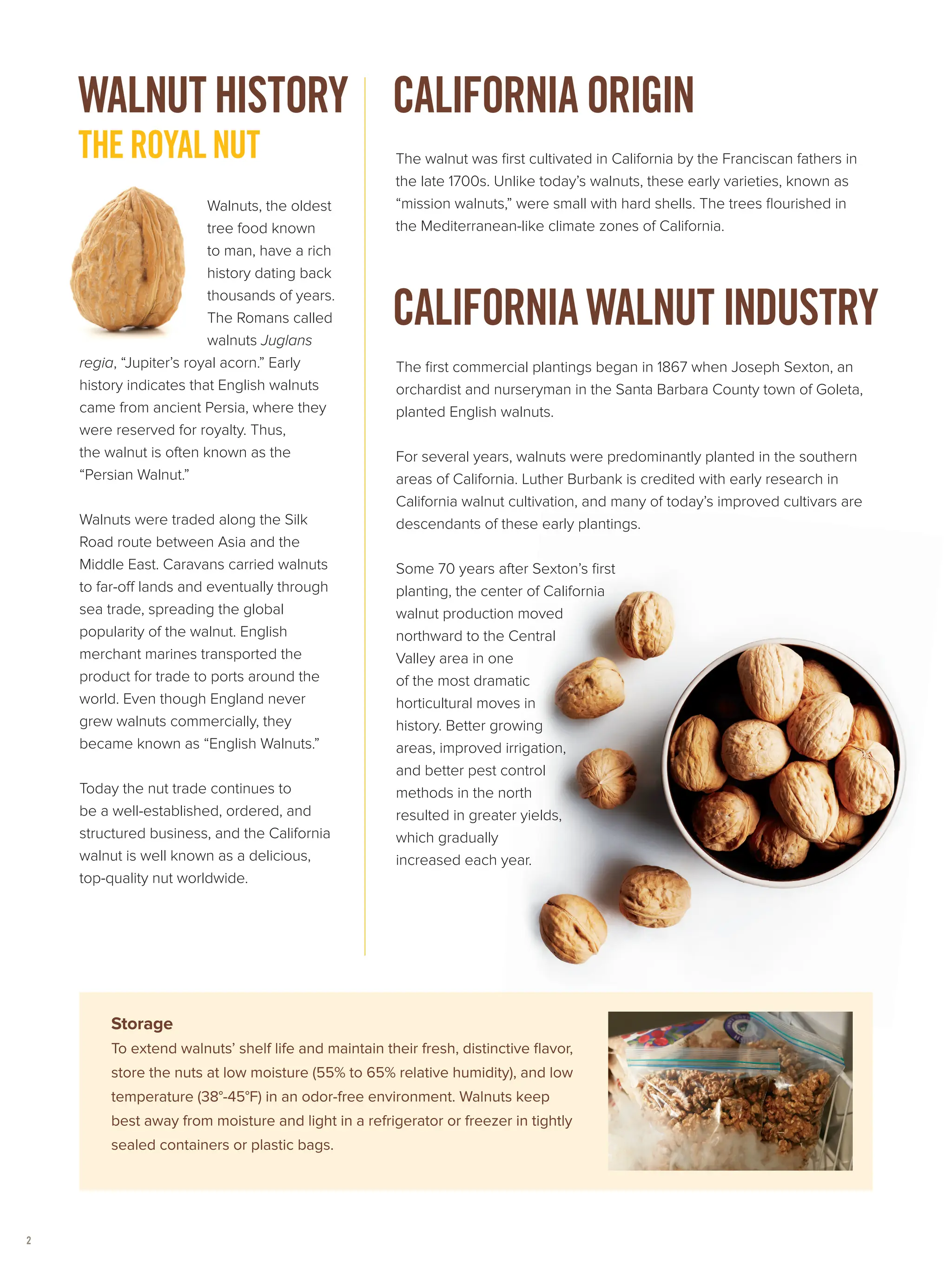 Best Walnuts in India – California Walnuts for Premium Quality and ...