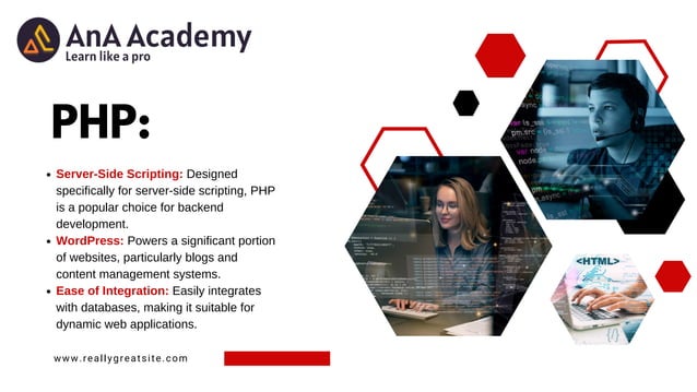 Best Web Programming Languages ppt (1).pdf