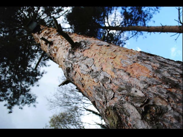 Best work unit3 | PPT