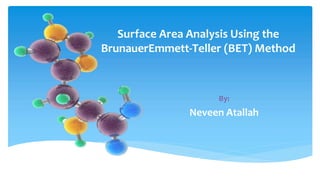 BET Surface Area Analysis of Nanoparticles.pptx