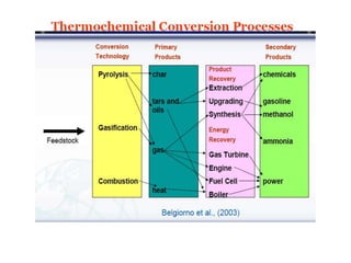 Biomass_Direct_Combustion.ppt
