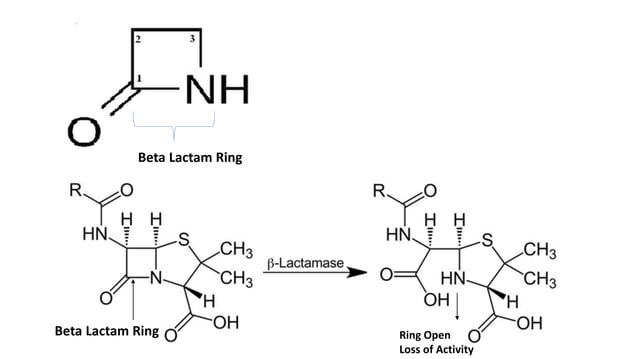 Chapter-Beta lactamase inhibitors | PPTX