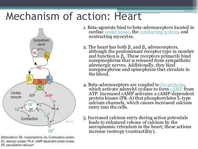 Beta adrenoceptor agonists