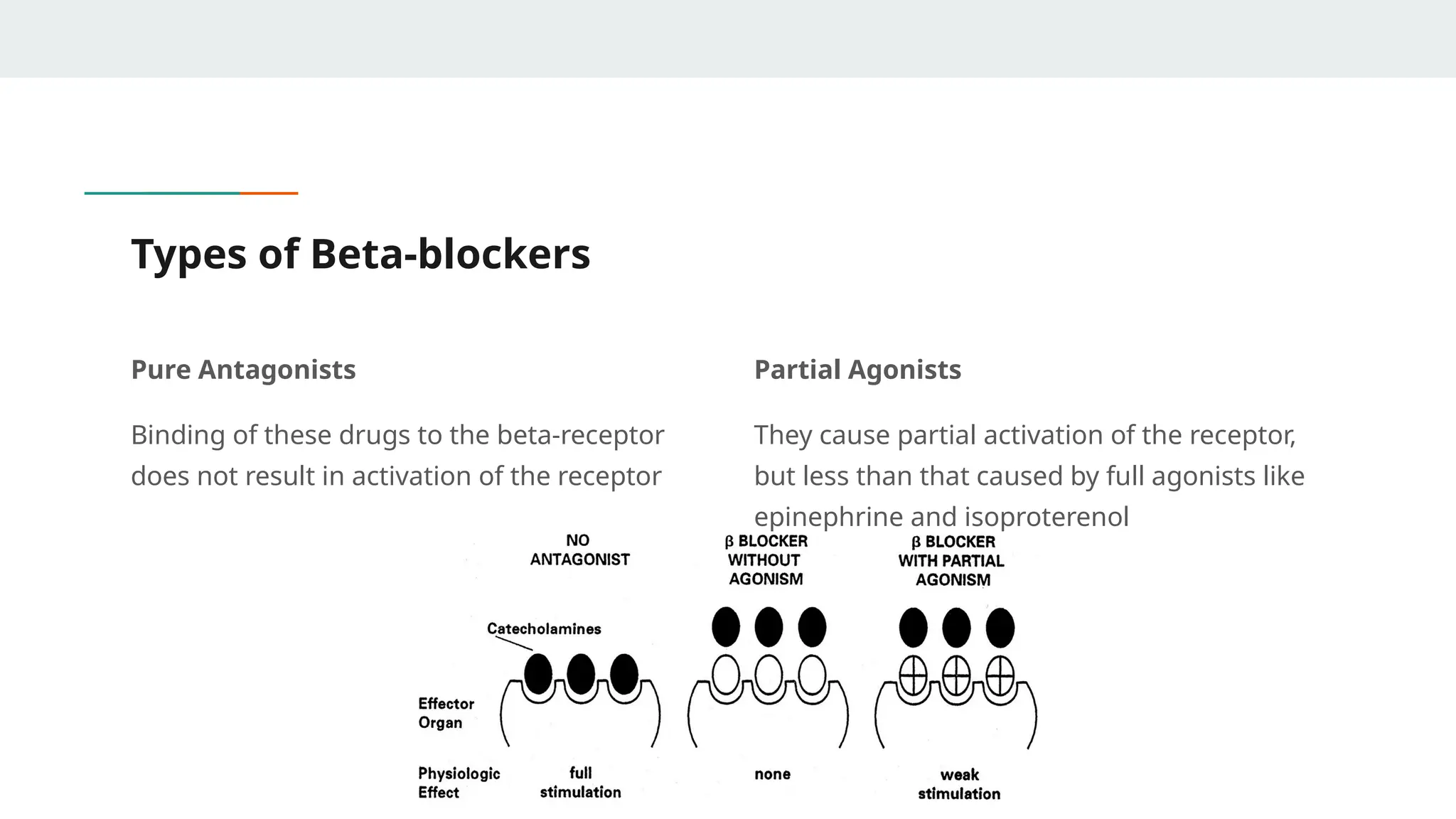 Beta-blockers- clinical uses and adverse effects | PPTX