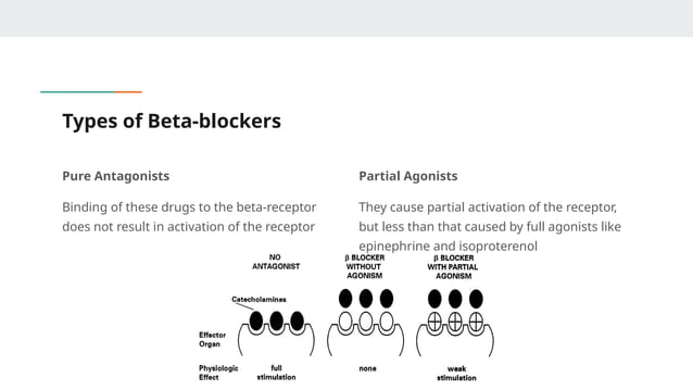 Beta-blockers- clinical uses and adverse effects | PPTX | Heart and ...
