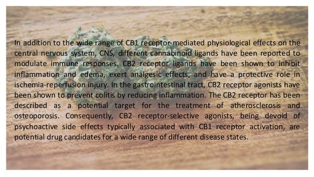 Beta-Caryophyllene - A Dietary Cannabinoid | PPTX