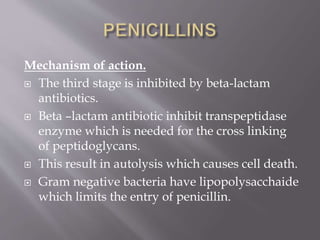 Beta lactam antibiotics. | PPT