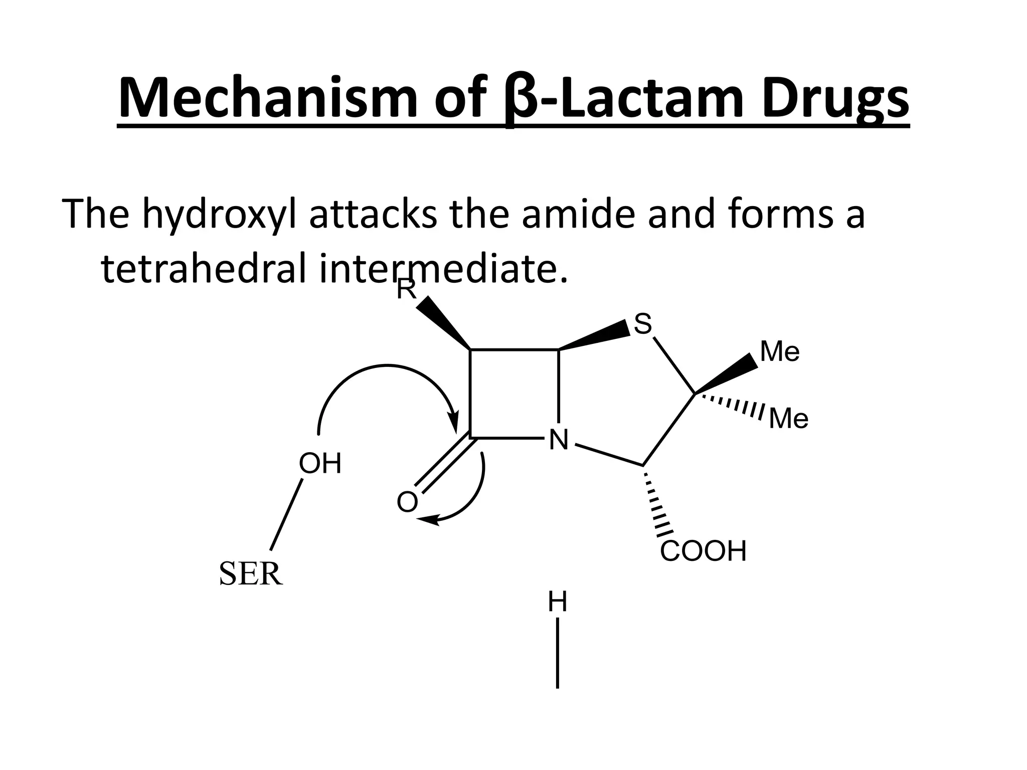 Beta lactam antibiotics | PDF