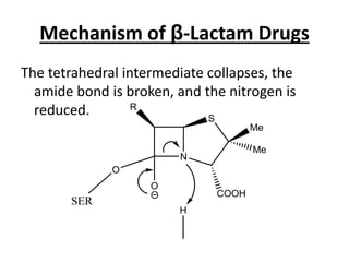 Beta lactam antibiotics | PDF