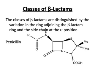 Beta lactam antibiotics | PDF