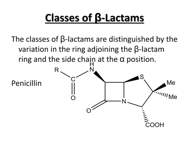 Beta lactam antibiotics | PDF
