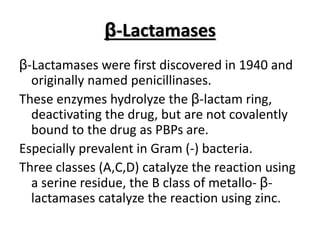Beta lactam antibiotics | PDF
