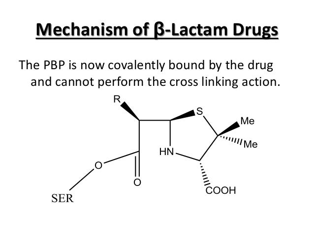 Beta lactam antibiotics