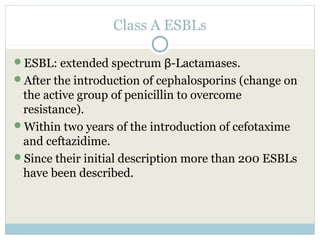 Beta lactam antibiotics | PPT