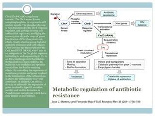 Beta lactam antibiotics | PPT