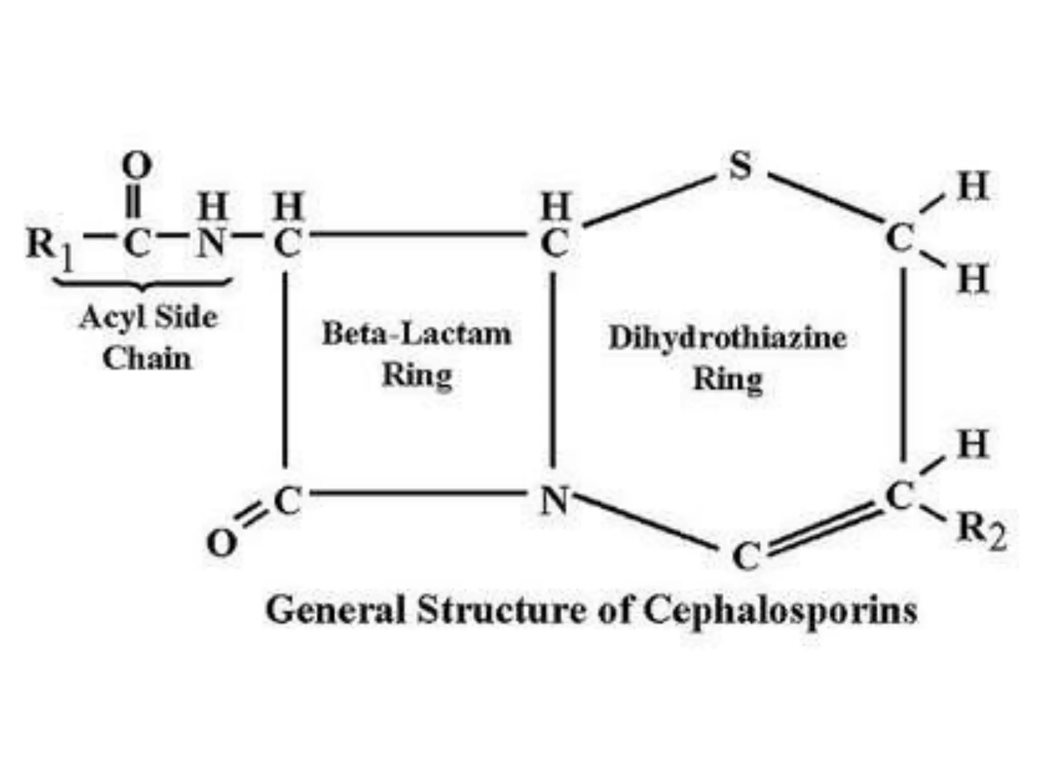 Beta lactam antibiotics(Penicillin, Cephalosporin) | PPSX
